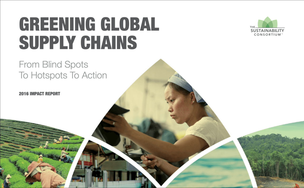 Impact Report 2022: The Power of Science-Based Action | The ...