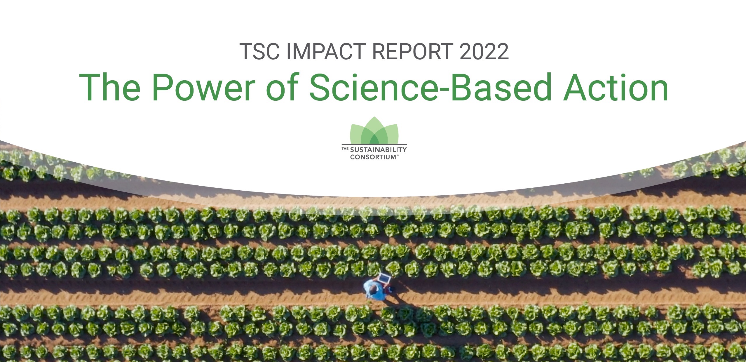 TSC Report Shows Companies with Science-Based Targets More Likely to ...