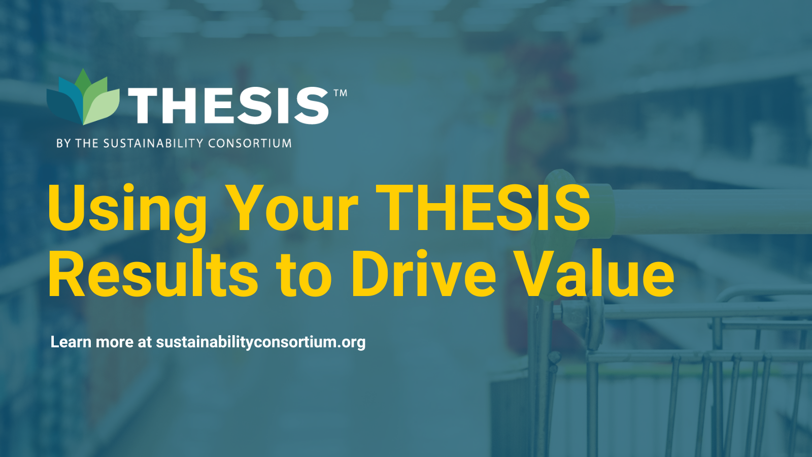Using your THESIS Results to Drive Value - The Sustainability Consortium