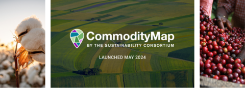 2024 TSC Annual Report: Harnessing Science for Global Business Decision-Making | The ...