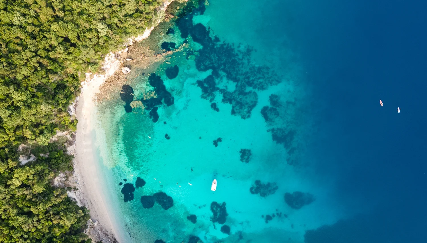 2025 Tsc Annual Report The Sustainability Consortium